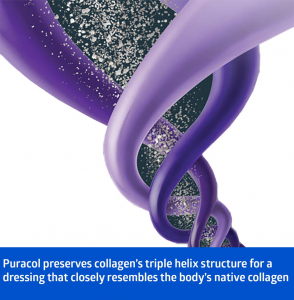 Puracol Ag Collagen Wound Dressings with Silver | Medline Industries, Inc.