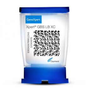 Xpert GBS and GBS LB PCR Test Kits | Medline Industries, Inc.