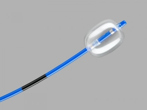 Escort II Double-Lumen Extraction Balloons | Medline Industries, Inc.