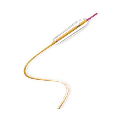 Medtronic Euphora Semicompliant Balloon Dilatation Catheters | Medline
