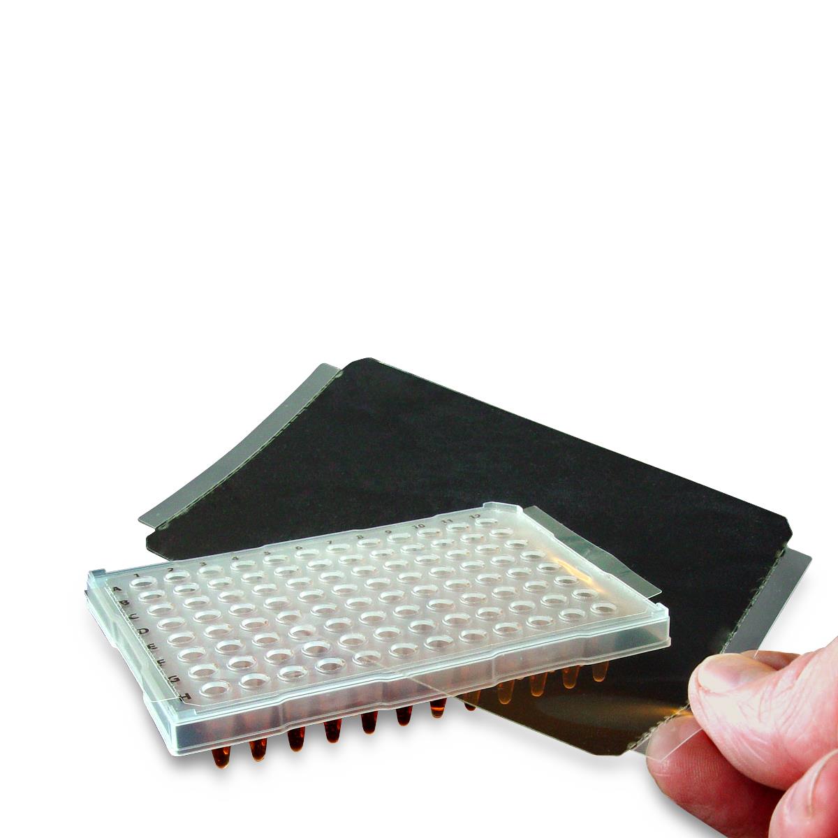 ThermalSeal RT2RR Sealing Films for Real-Time PCR | Medline
