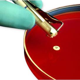 B-10 Bacitracin AST Disks | Medline Industries, Inc.