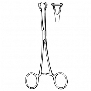 Babcock Tissue Forceps | Medline Industries, Inc.