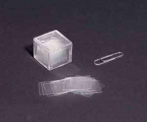 Plastic Cover Slips 22 X 22mm | Medline Industries, Inc.